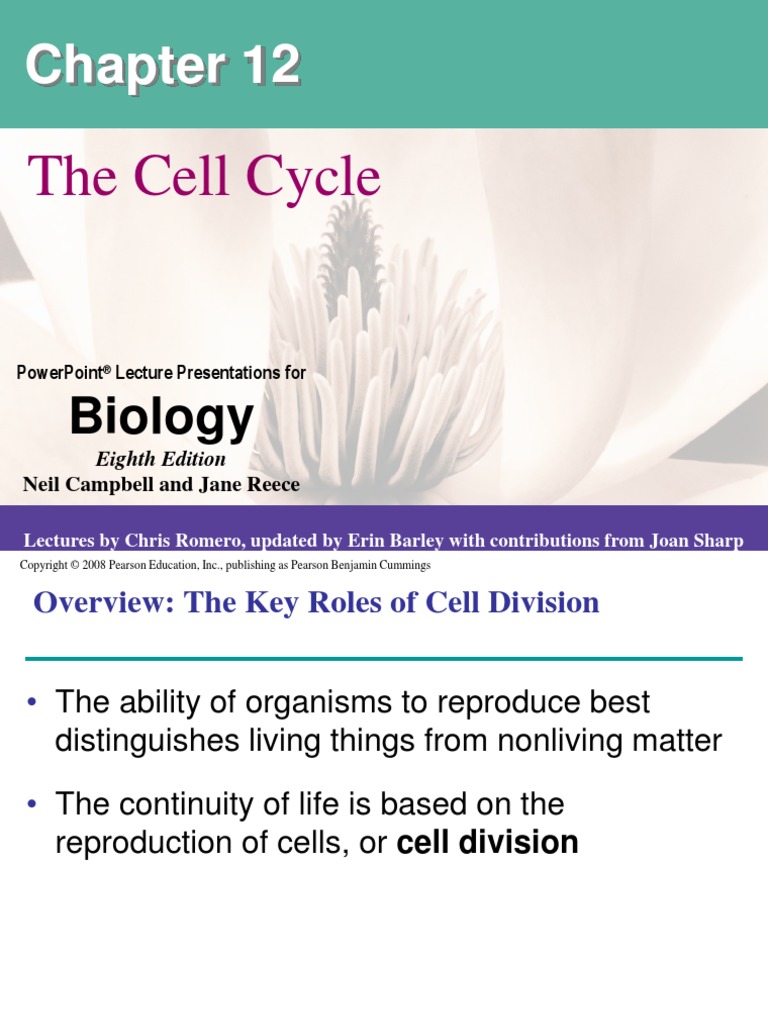 The Cell Cycle: Biology | PDF | Mitosis | Chromosome