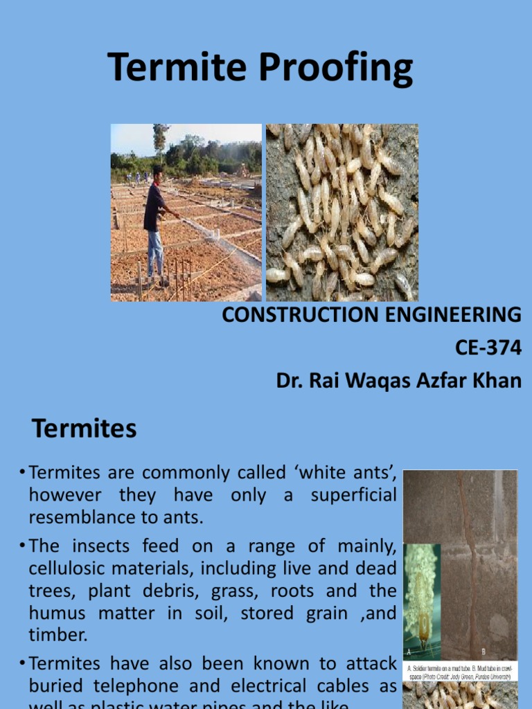 Termite Proofing: Construction Engineering CE-374 Dr. Rai Waqas Azfar Khan | PDF | Nest | Soil