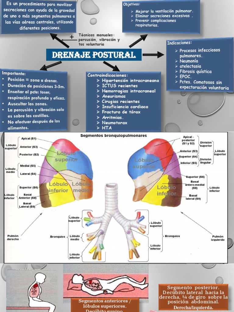Drenaje Postural | PDF