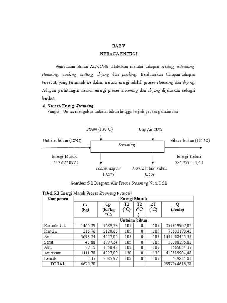 Bab V Neraca Energi | PDF | Sains & Matematika