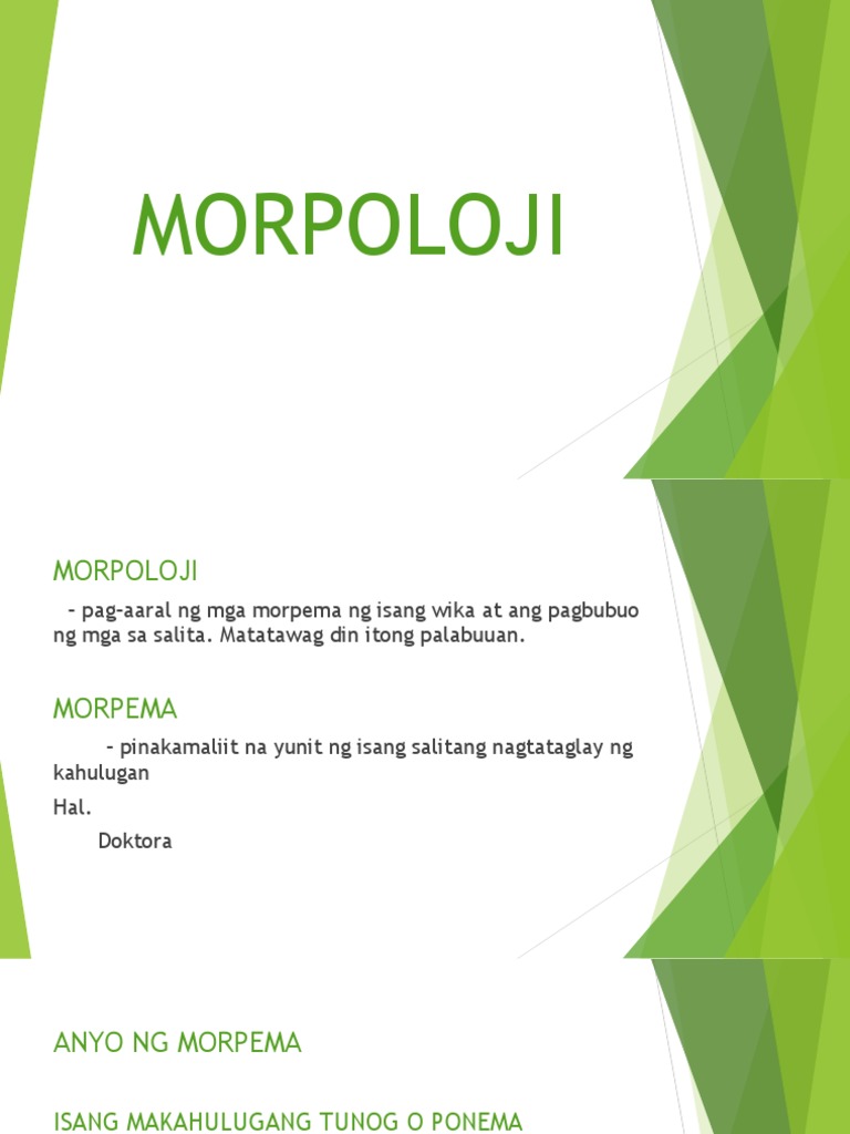 Morpoloji 180916052944 | PDF