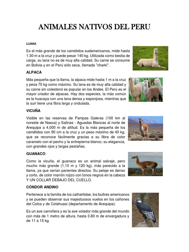 Animales Nativos Del Peru | PDF | Jaguar | Naturaleza