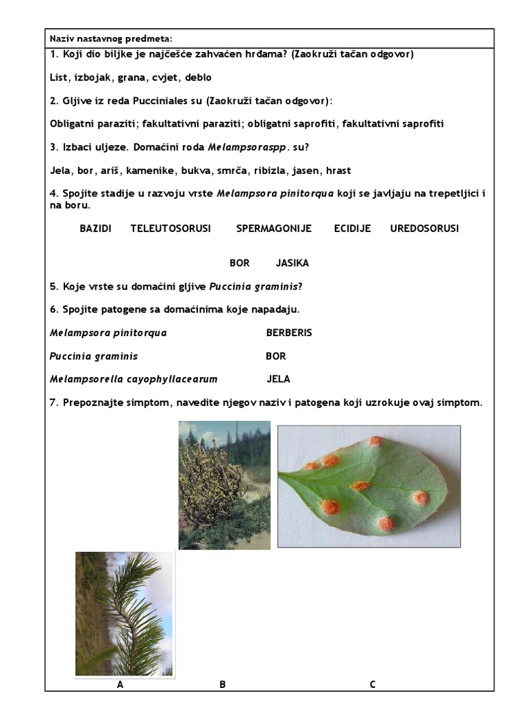 Prirucnik Monitoring Zdravstvenog Stanja Suma | PDF