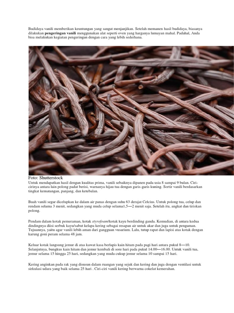 cARA pENGERINGAN VANILI | PDF