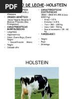 Raza Caprina Anglo-Nubian: Características y Cuidados | PDF | Cabra | Leche