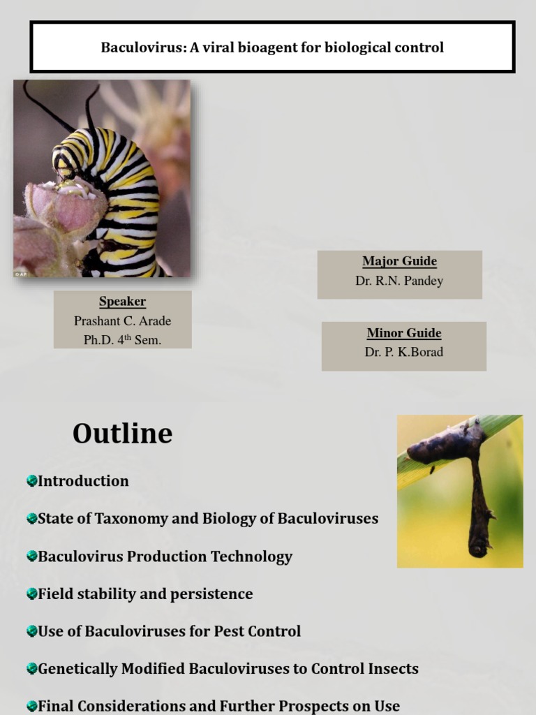 Baculovirus: A Viral Bioagent For Biological Control | PDF | Organisms ...