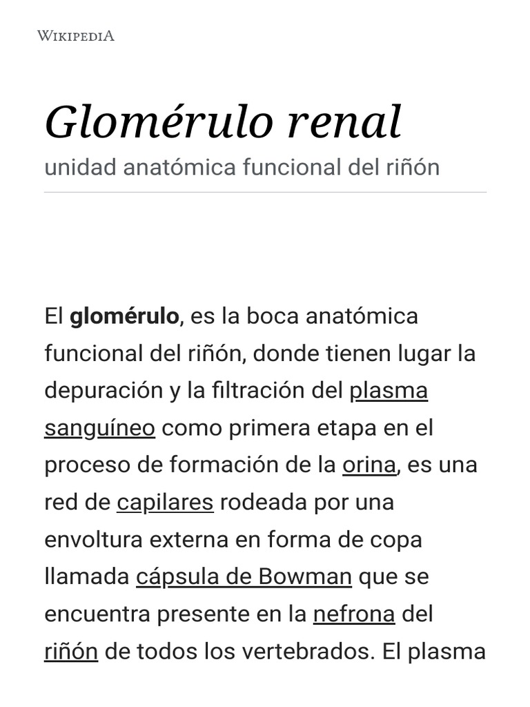 Glomérulo Renal - Wikipedia, La Enciclopedi A Libre | PDF | Riñón ...