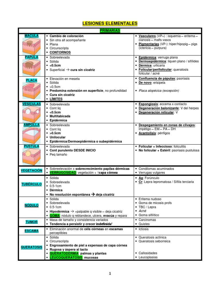 Lesiones Elementales (Resumen) | PDF | Piel | Dermatología