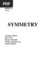 Butterfly Symmetry Activity | PDF