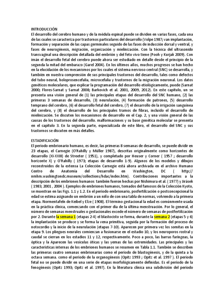 NEUROEMBRIOLOGÍA | PDF | Cerebro | Corteza cerebral