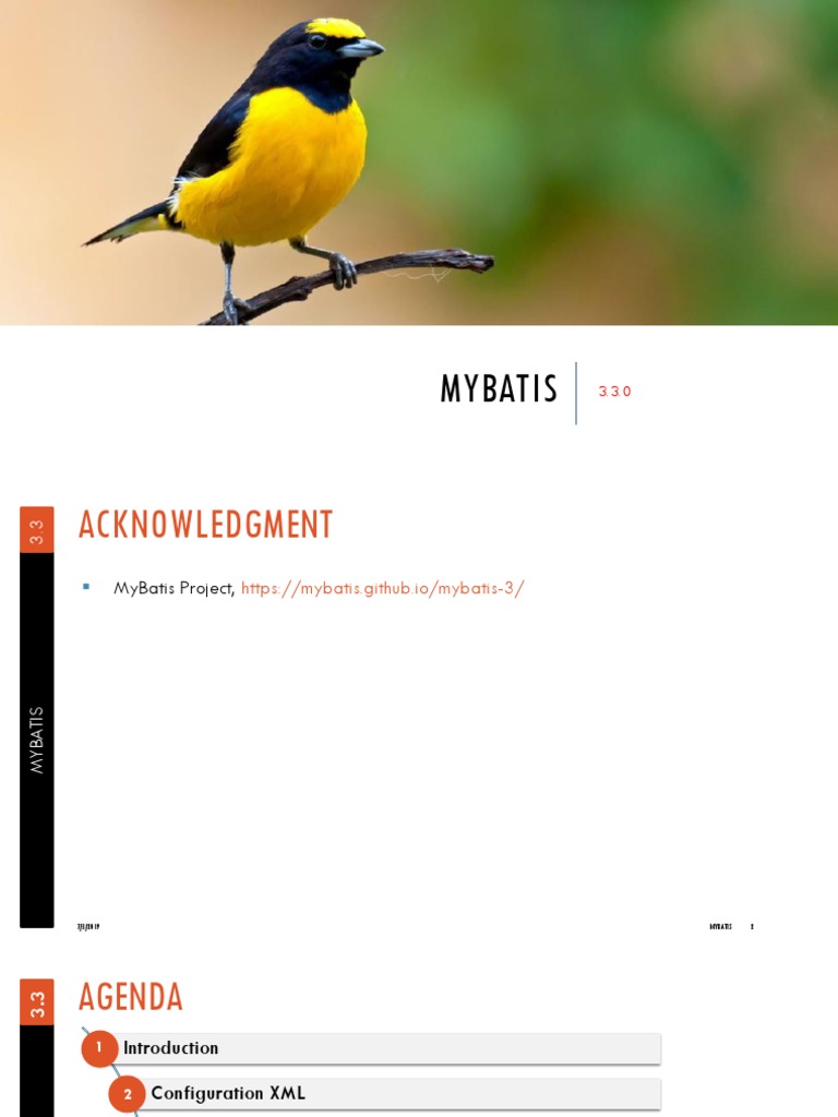 MyBatis Intro | PDF | Programming Paradigms | Computing