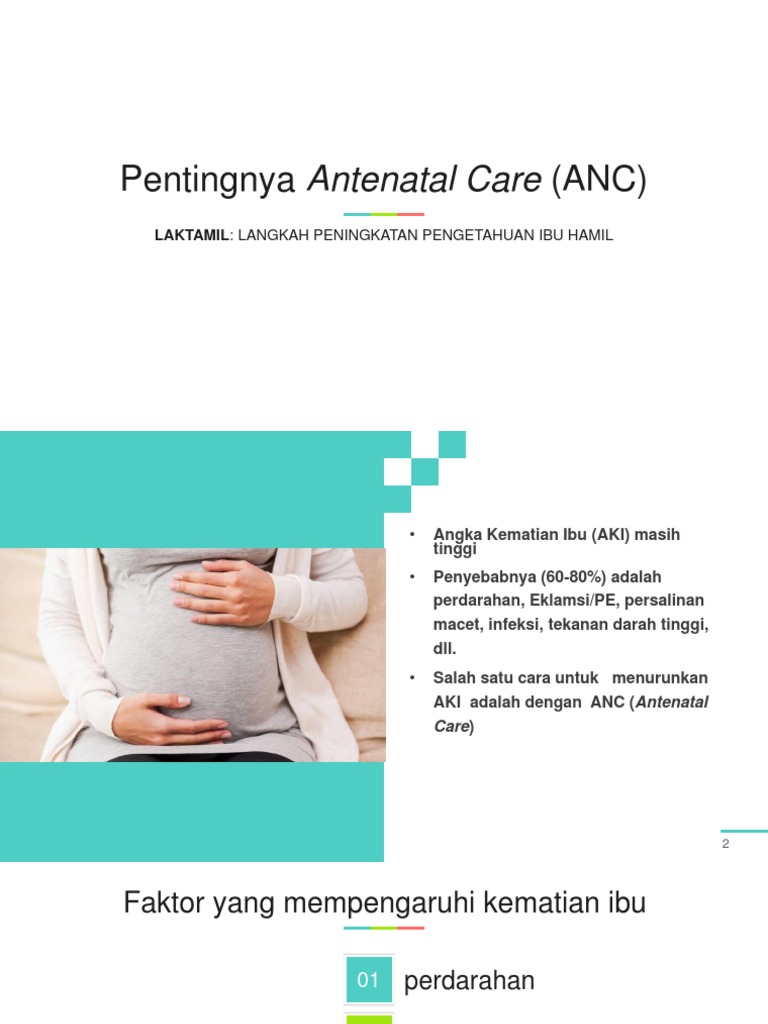 Antenatal Care | PDF