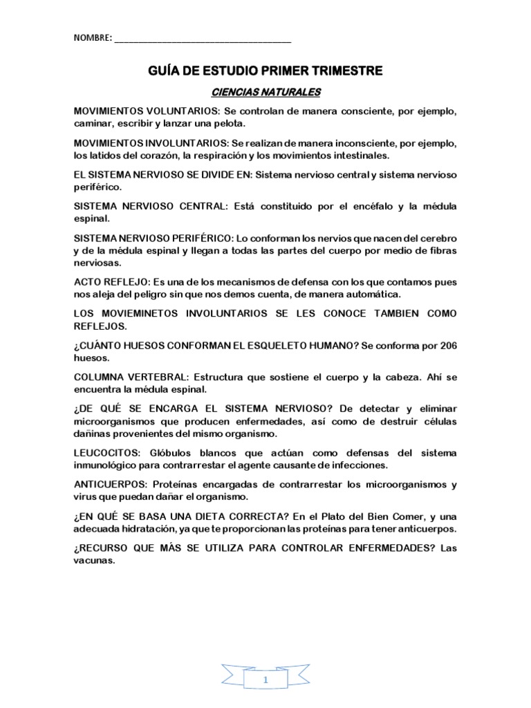 Guia de Estudio Primer Trimestre Sexto Grado | PDF | Sistema nervioso ...