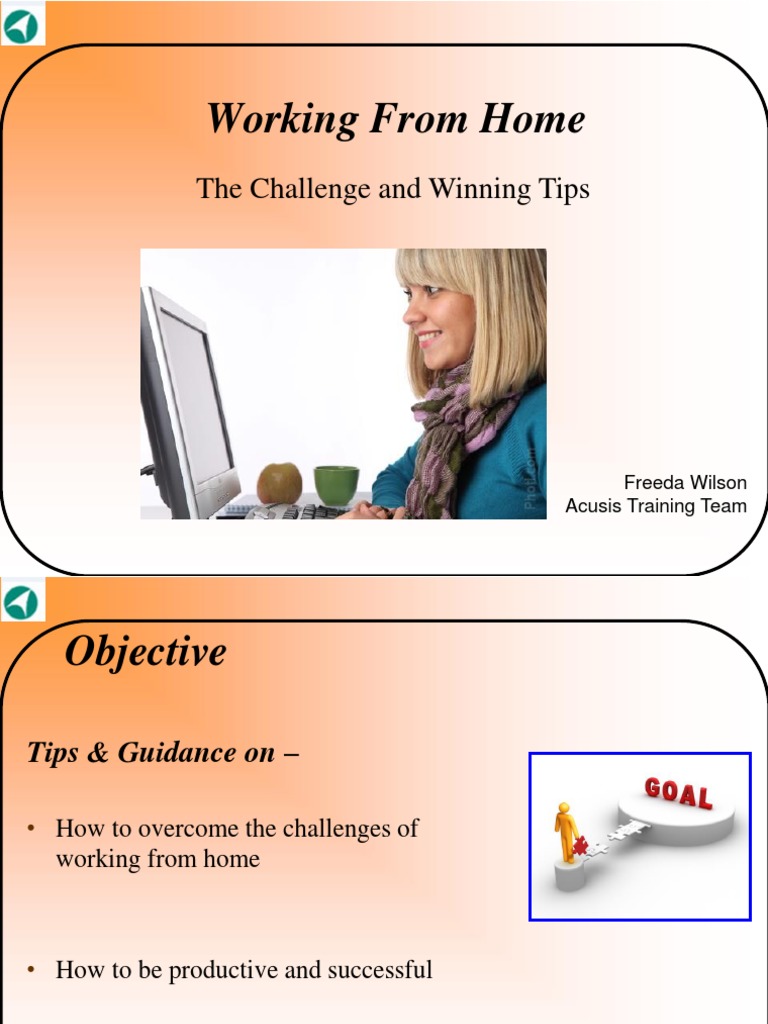 Working From Home | PDF | Time Management | Professional Skills