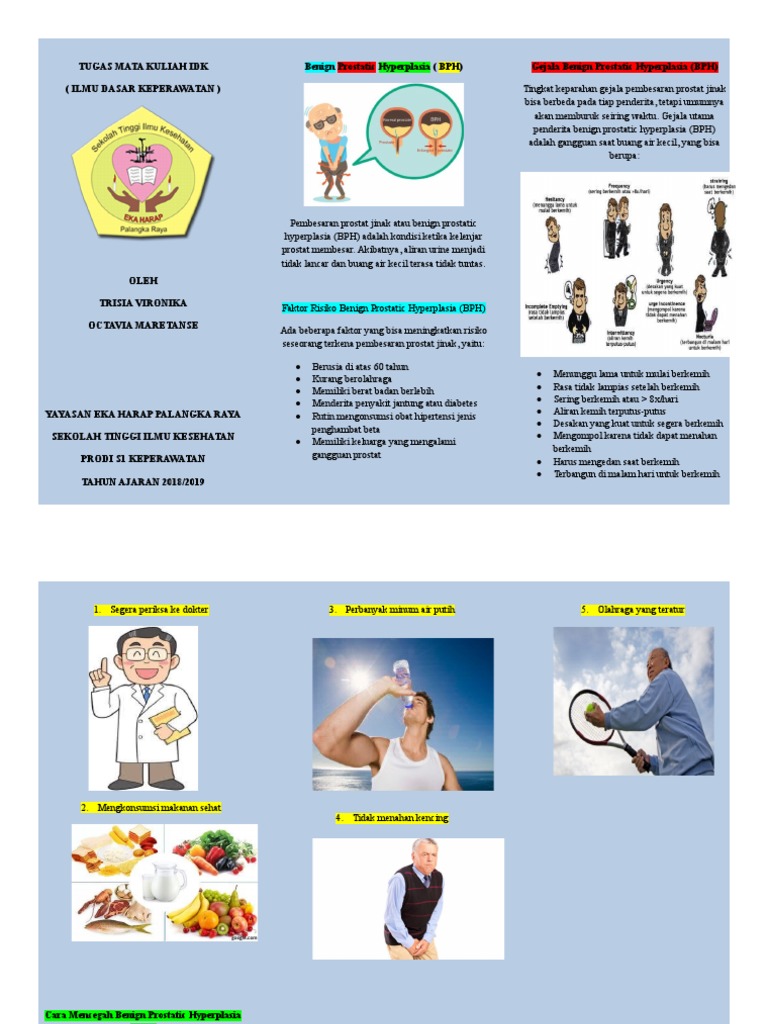 Leaflet Prostat | PDF