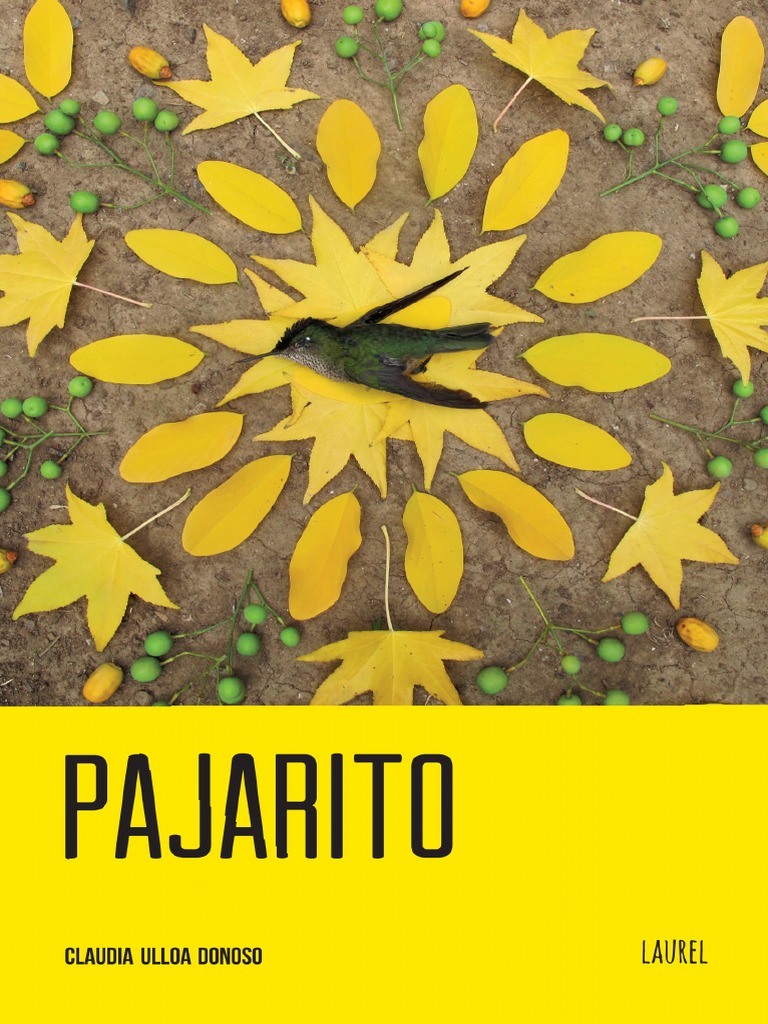Claudia Ulloa Pajarito 2 | PDF | Aves | Naturaleza
