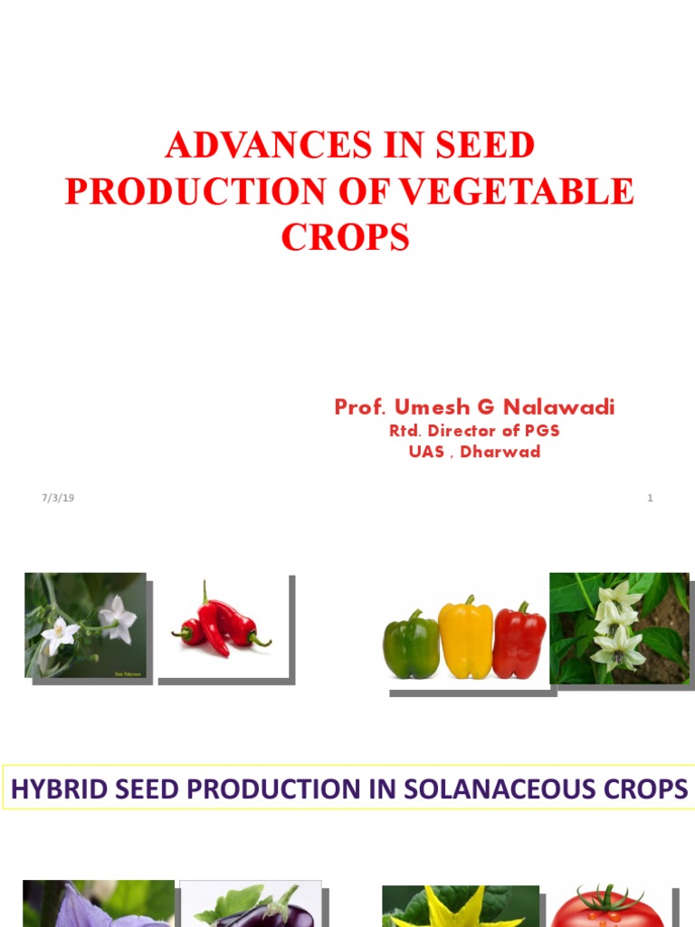 Hybrid Seed Production in Solanaceous Crops | PDF | Cucurbita | Pollination