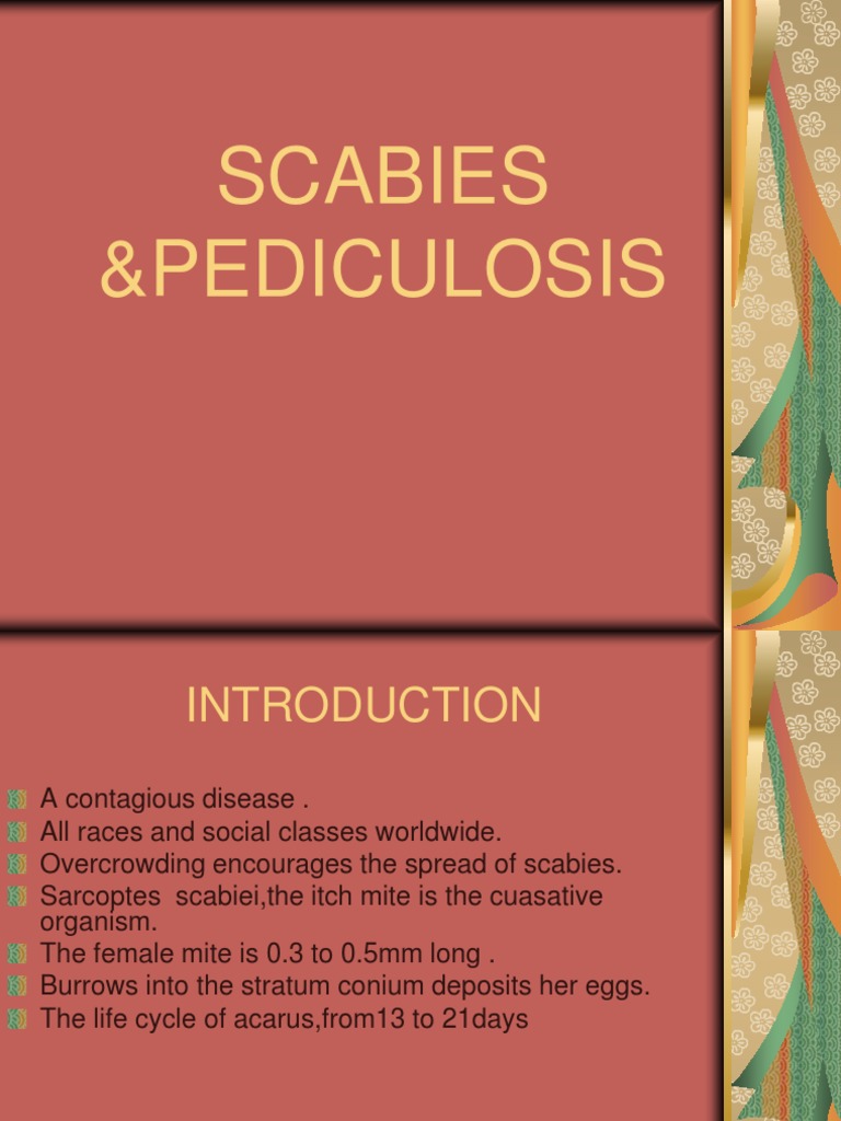 Scabies | PDF | Medical Specialties | Clinical Medicine