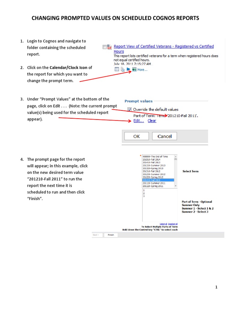 Changing Prompted Values On Scheduled Cognos Reports | PDF