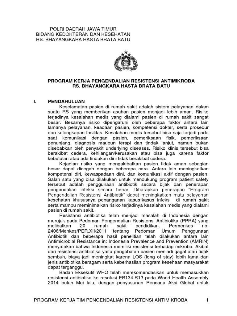 Program Kerja Ppra | PDF