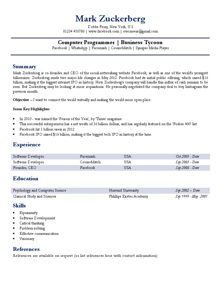 How To Create A Professional CV (Tempelate) | PDF