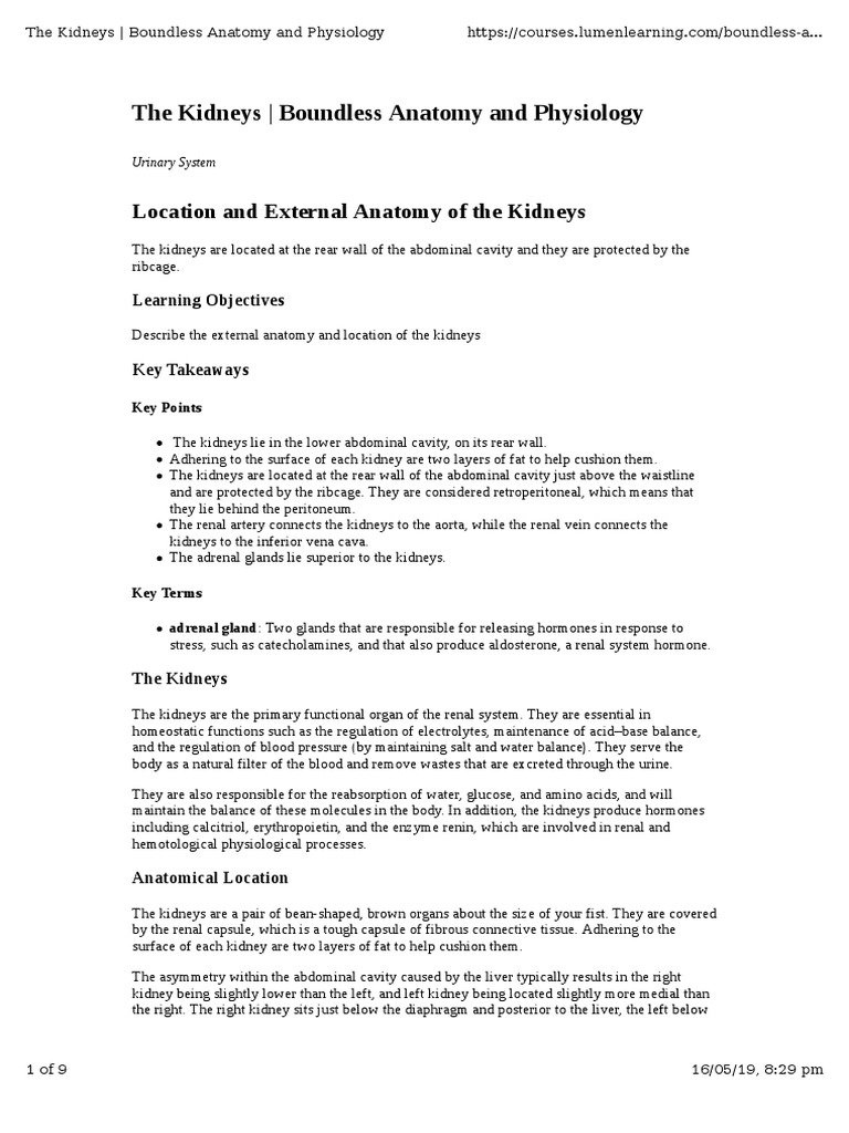 N Ephron 1111 | PDF | Kidney | Organ (Anatomy)