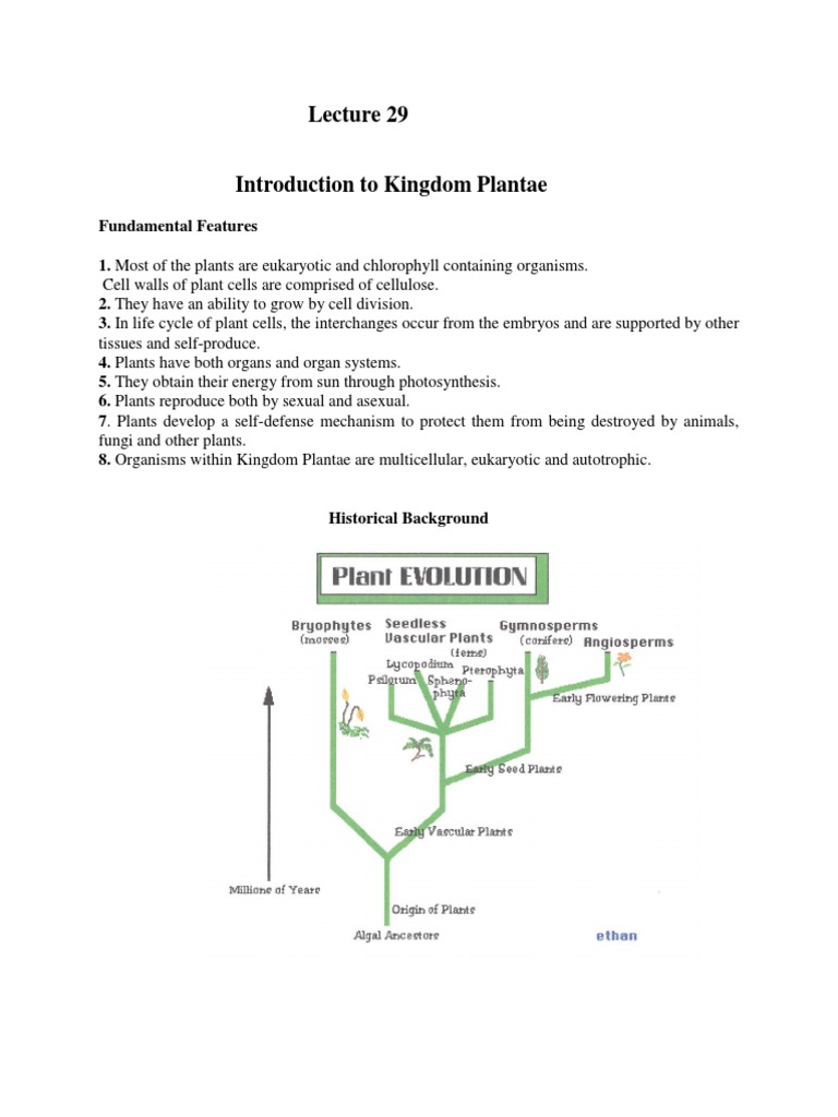 Handouts-Lect. 29 - Introduction To Kingdom Plantae PDF | PDF | Plants ...