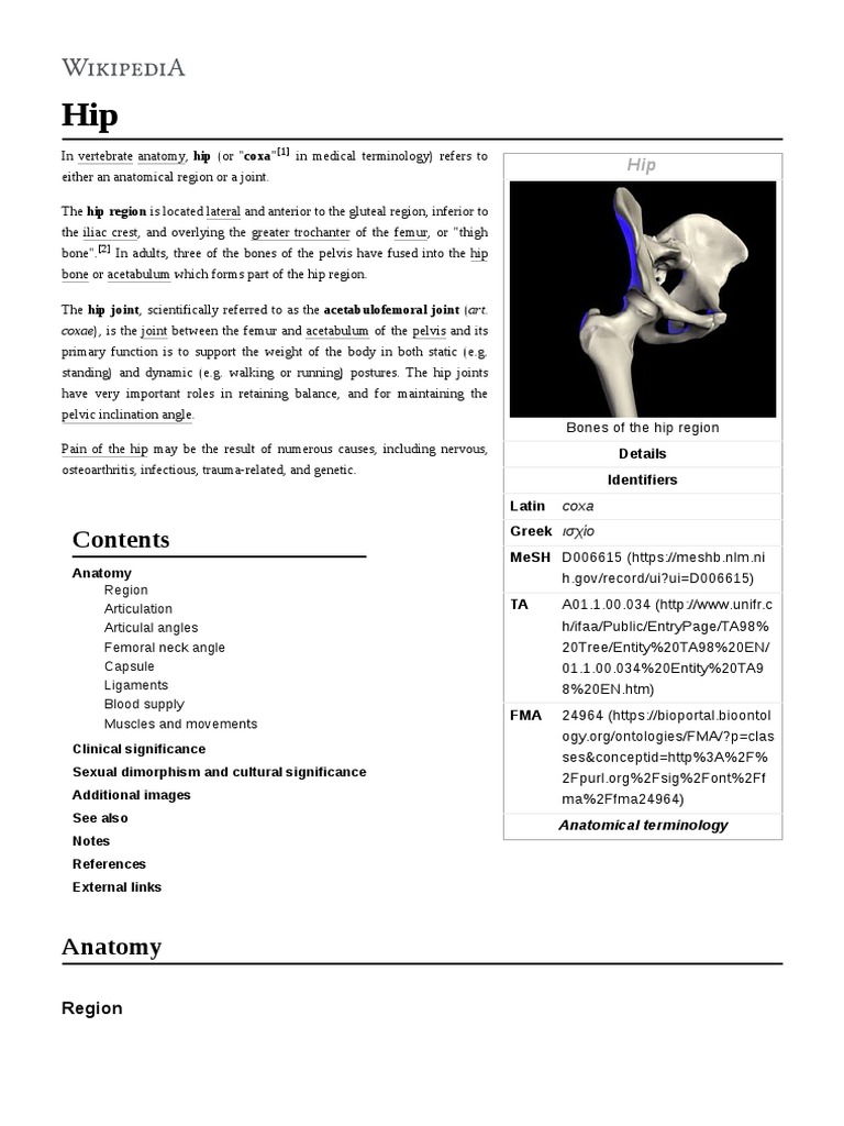 Coxae), Is The Joint Between The Femur and Acetabulum of The Pelvis and ...