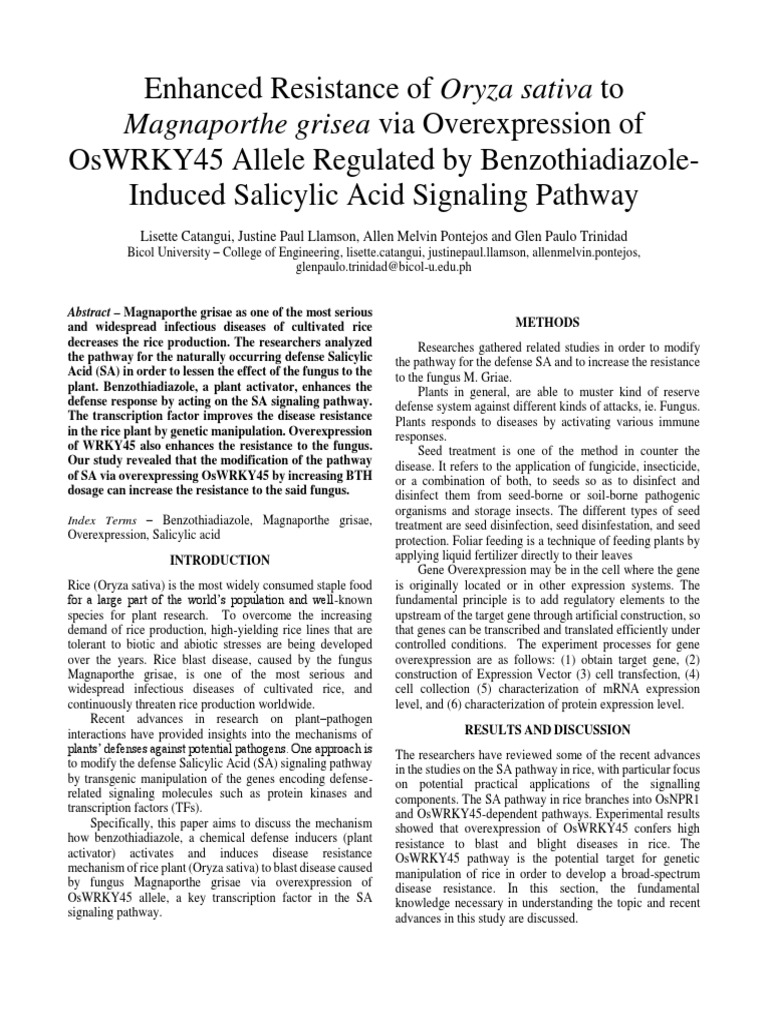 Enhancing Rice Resistance via OsWRKY45 | PDF | Gene Expression | Rice
