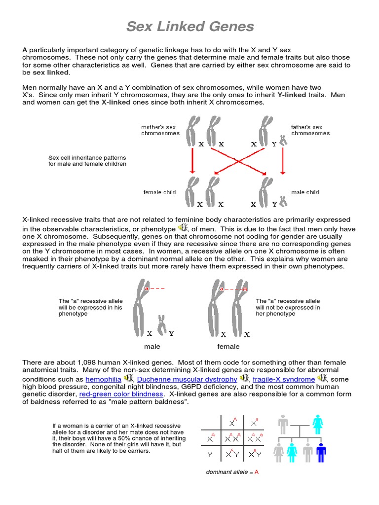 Sex Linked Genes | PDF | Dominance (Genetics) | Allele