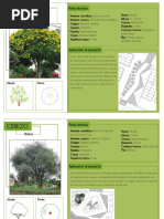 Ficha de Vegetacion | PDF | Arboles | Hoja