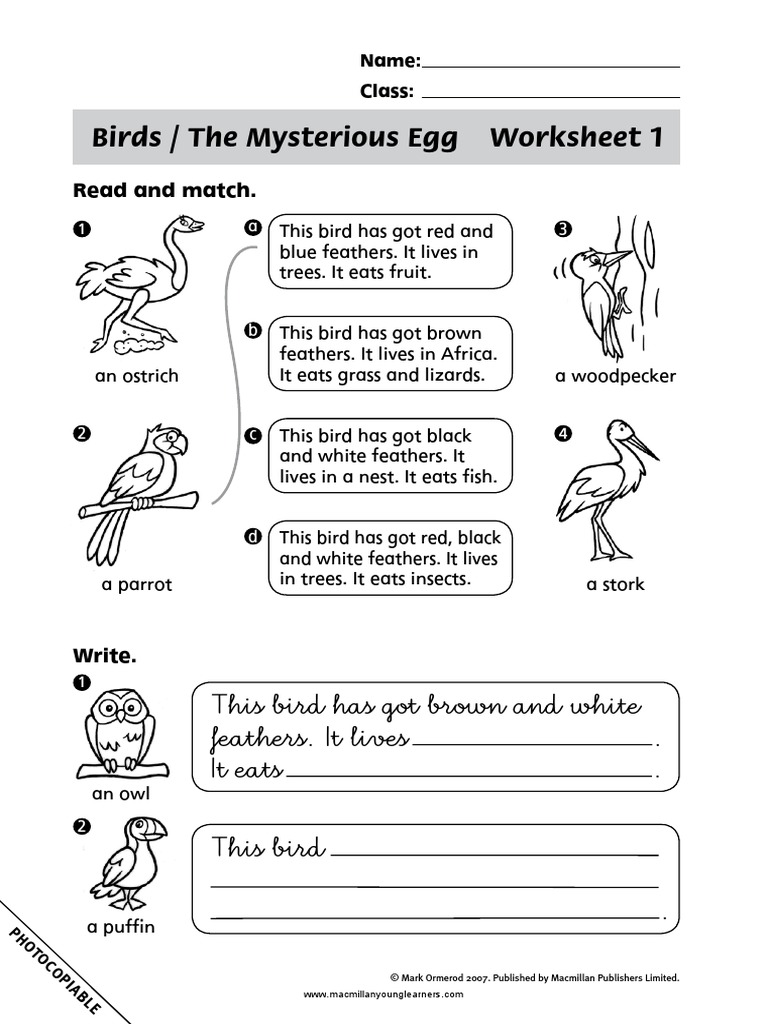 Birds / The Mysterious Egg Worksheet 1: This Bird Has Got Brown and ...