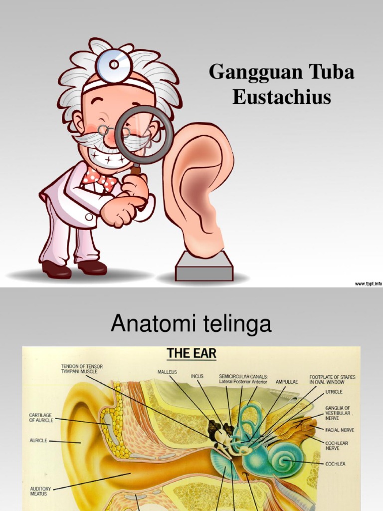 Gangguan dan Fungsi Tuba Eustachius | PDF | Pengembangan Diri ...