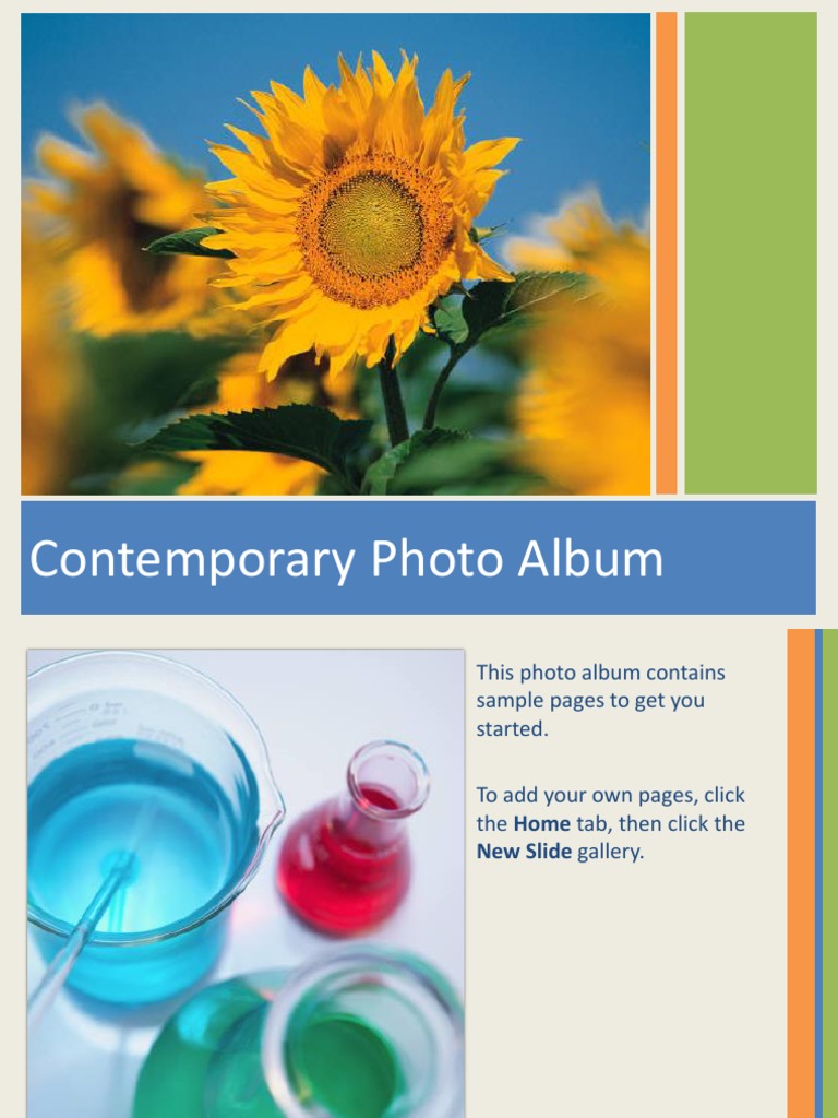 Contemporary Photo Album | PDF | Self-Improvement