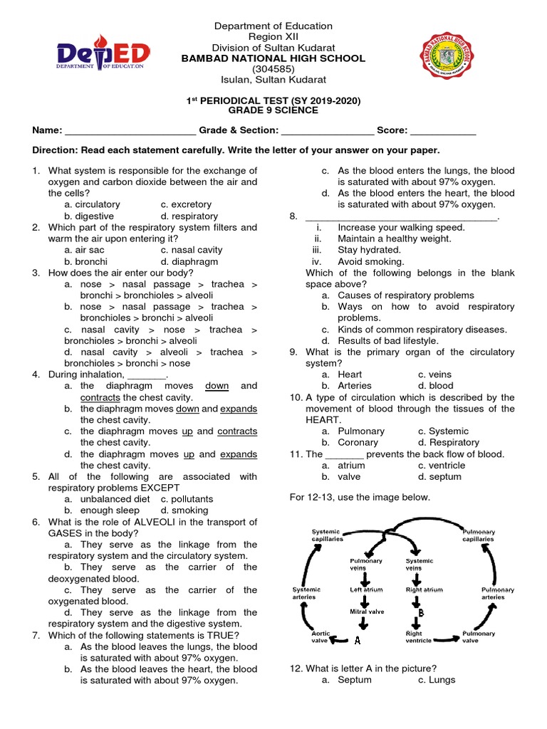 Grade 9 Science Periodical Test | PDF | Respiratory System | Citric ...