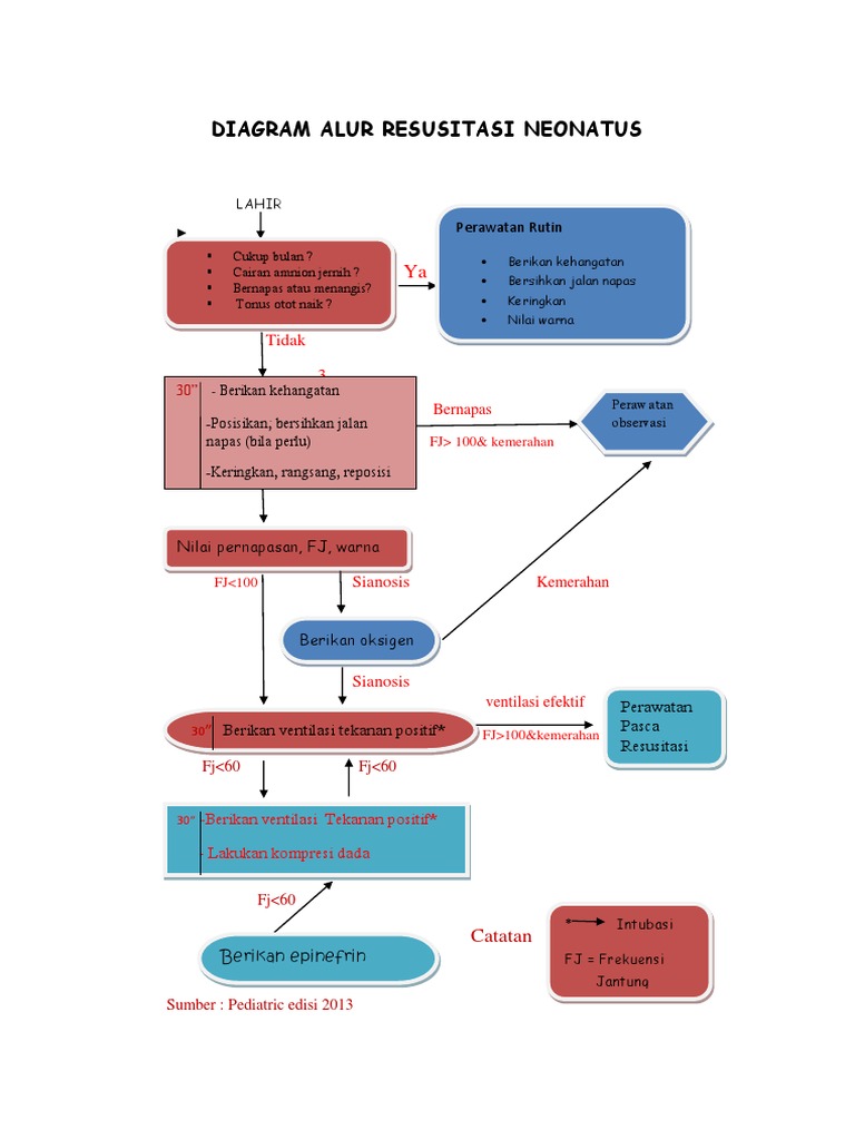 Diagram Alur Resusitasi Neonatus | PDF