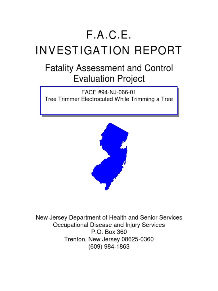 A Complete Electrical Hazard Classification System and Its Application ...