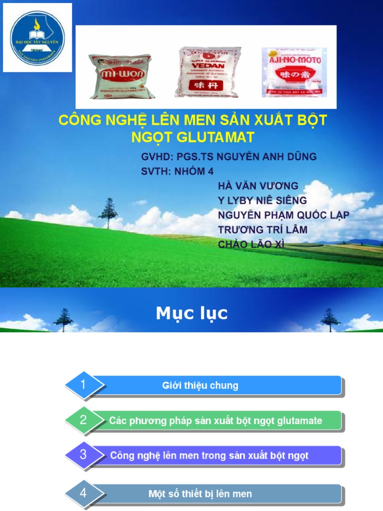 Cong Nghe Len Men San Xuat Bot Ngot | PDF