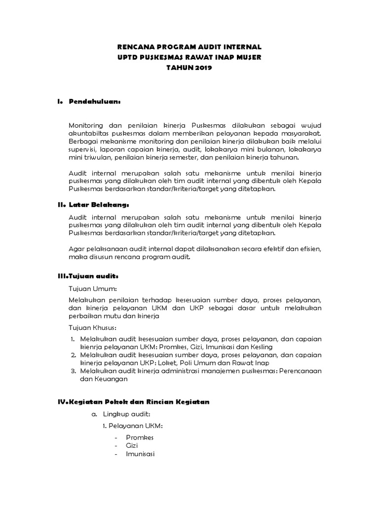 Rencana Program Audit Internal Puskesmas Muser | PDF