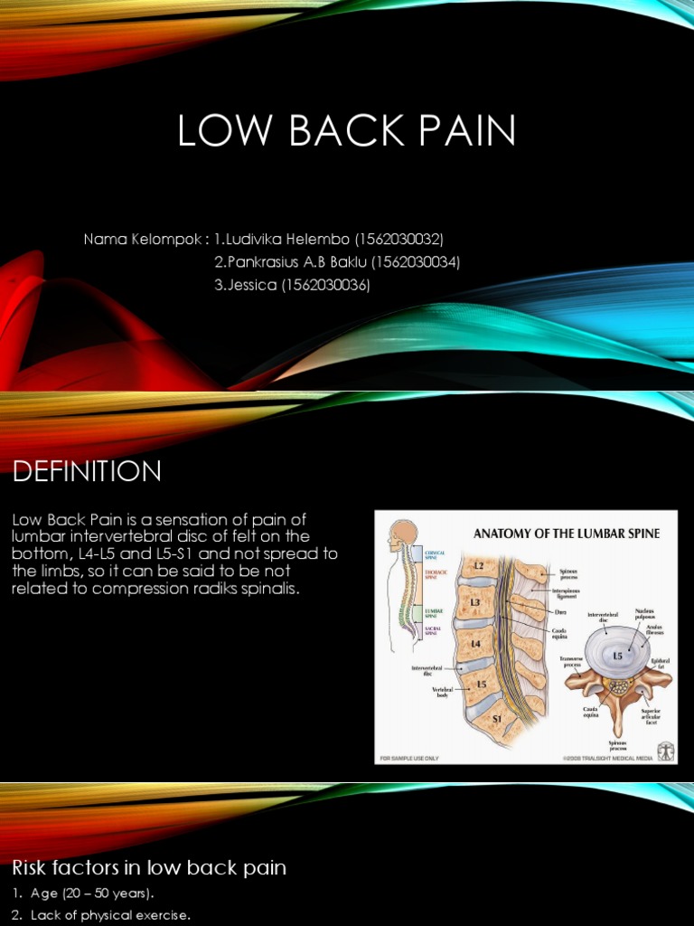 Low Back Pain | PDF | Back Pain | Low Back Pain