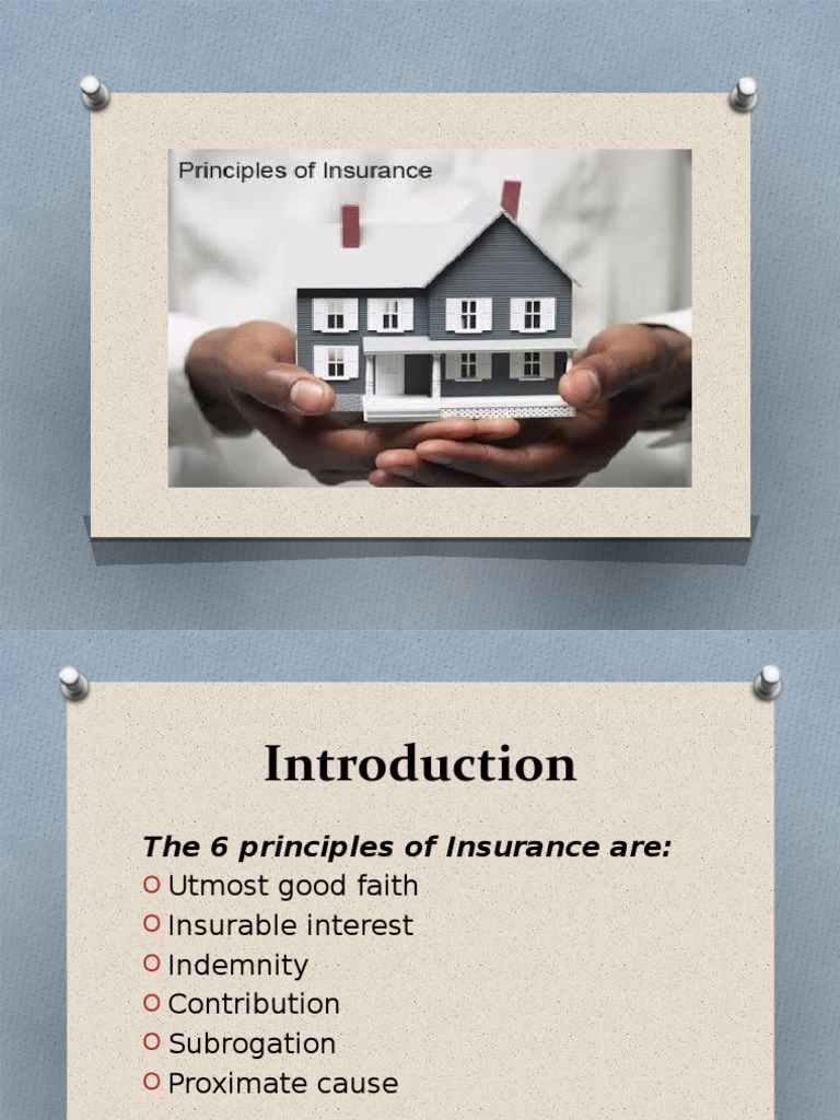 Six Principles of Insurance Explained | PDF | Indemnity | Insurance