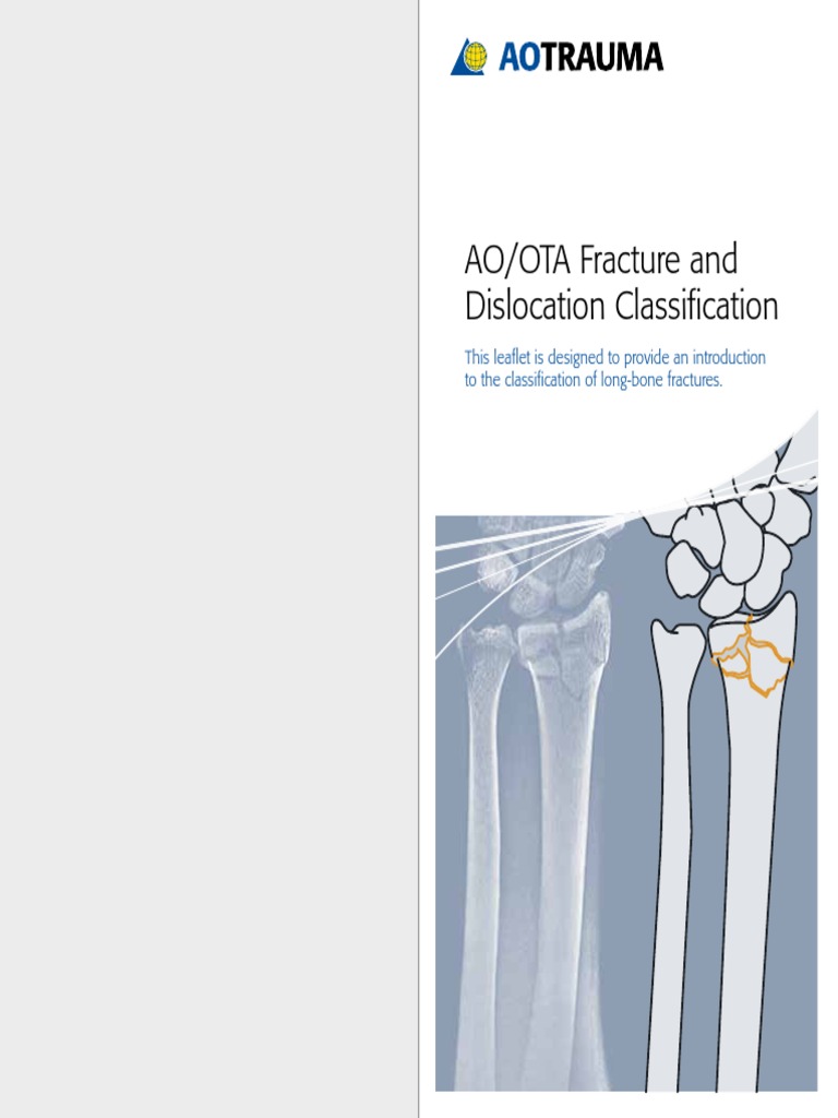 AO OTA Fracture and Dislocation Classification | PDF | Human Anatomy ...