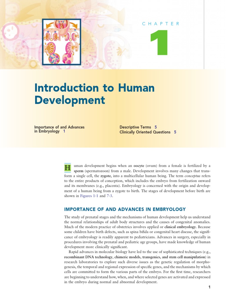 Introduction To Human Development: Importance of and Advances in ...