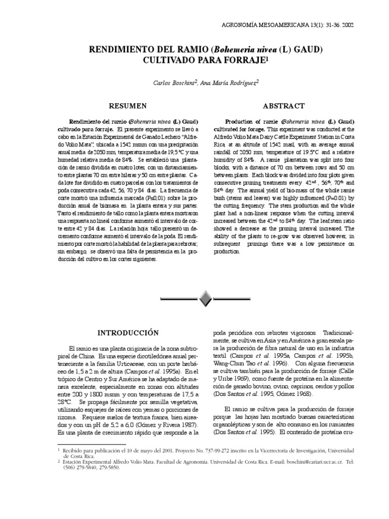 Ramio | PDF | Hoja | Tallo de la planta