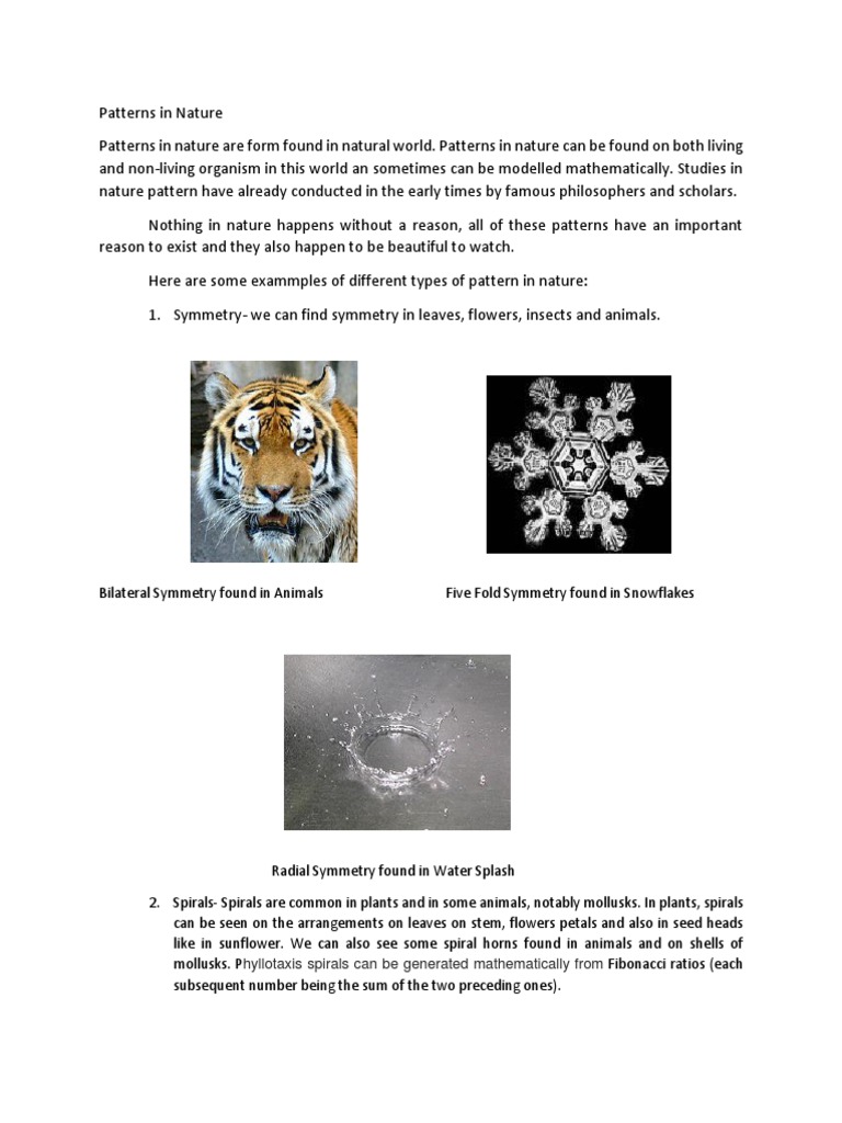 Patterns in Nature | PDF | Pattern | Nature