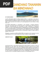 Filipino Brochure | PDF