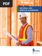 Application For Domestic Gas Connection | PDF