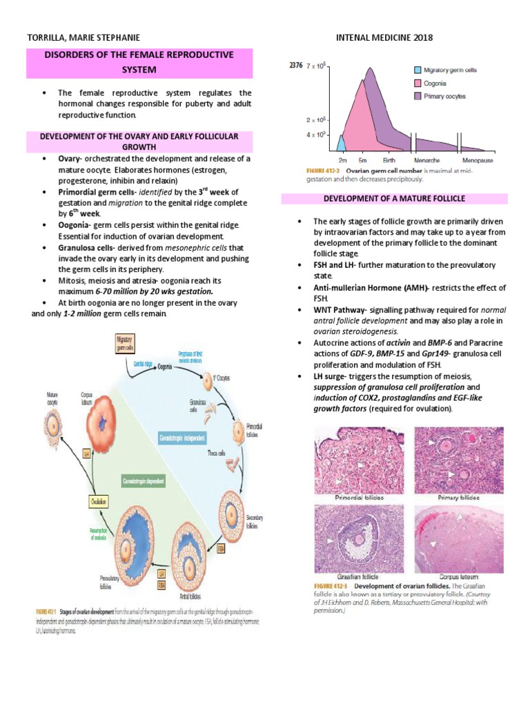 Female Reproductive System Disorders | PDF | Menstrual Cycle ...