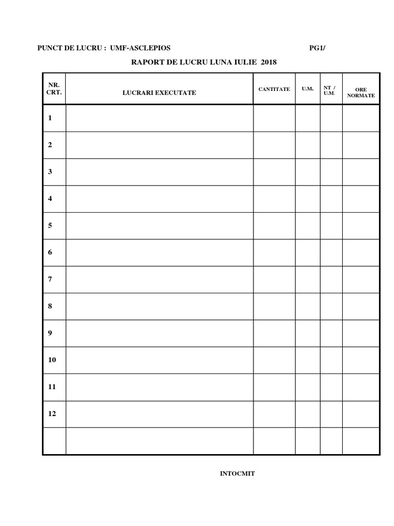 Formular Raport Lucru | PDF