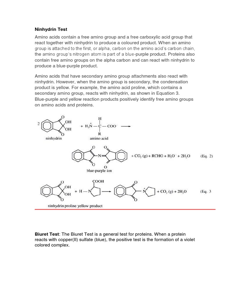 Amino Acid and Protein Tests Guide | PDF | Amine | Amino Acid